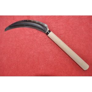 Home - Jackson's Japanese Tools